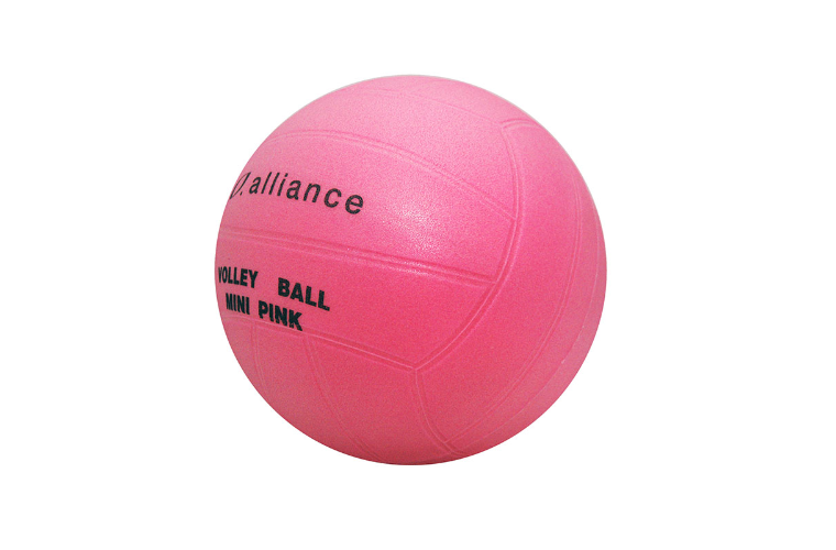 Eagle Sports | ALLIANCE MINI PINK PVC VOLLEYBALL